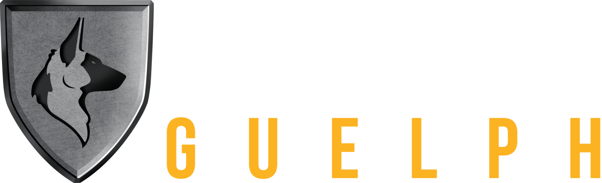 Focus Heeling Course | Shield K9 Online