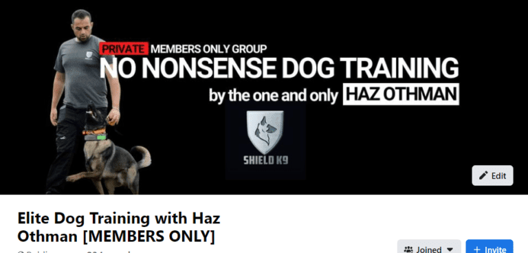 Online Dog Training | Real Results | SHIELD K9 Online